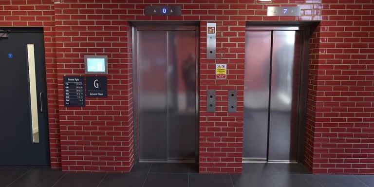 03 August, 2021/ posted in Moving People , Advice For Owners ...